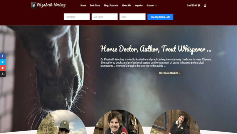 Web Design - SiteEngine